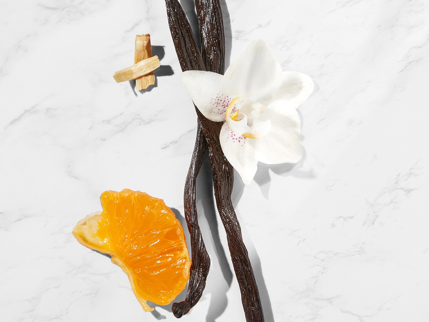 Laura Mercier | Perfumeria DOUGLAS