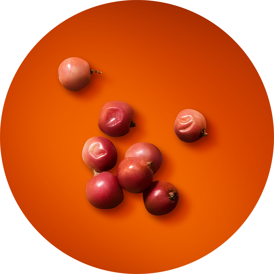 Emporio Armani | Stronger With You Intensely » Eau de parfum