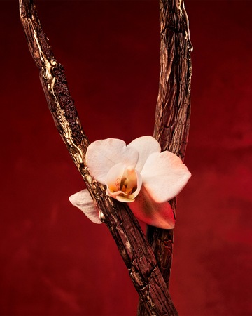 Hugo Boss ️ achetez en ligne | Nocibé