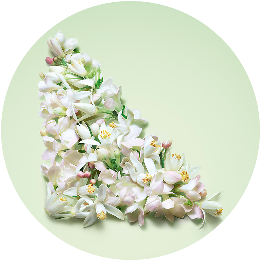 Prada Paradoxe Virtual Flower Woda perfumowana | Perfumeria DOUGLAS