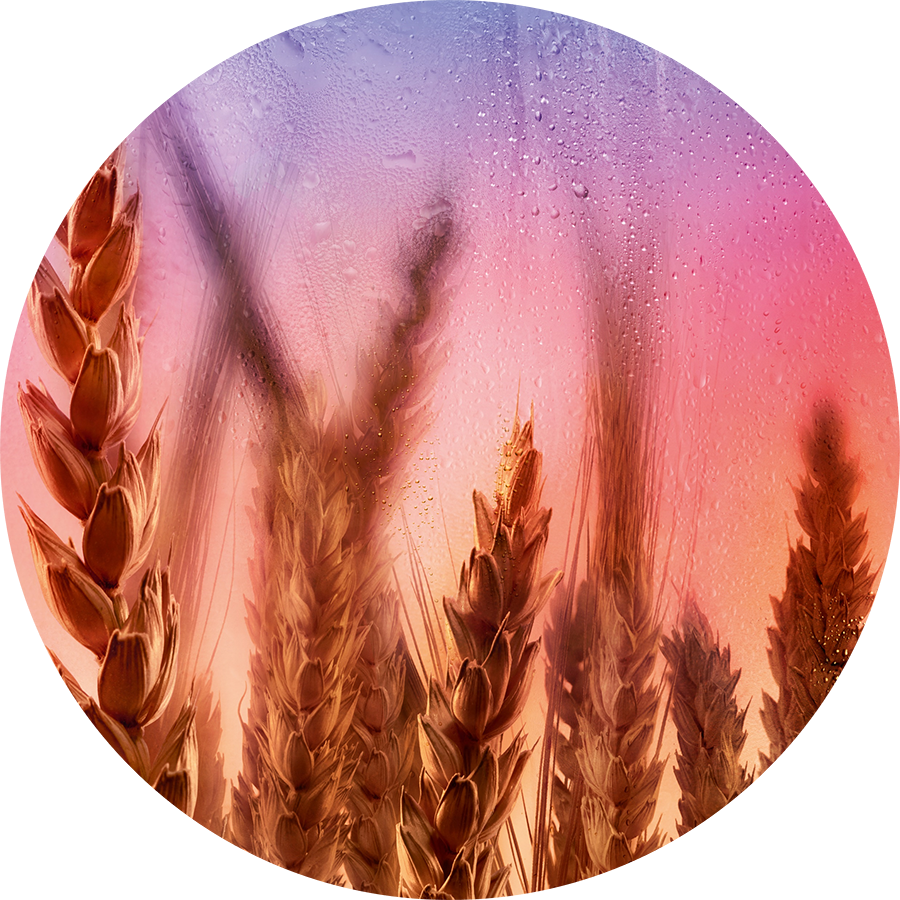 Zadig&Voltaire THIS IS HER! Burning Love Eau de Parfum ️ online kaufen ...