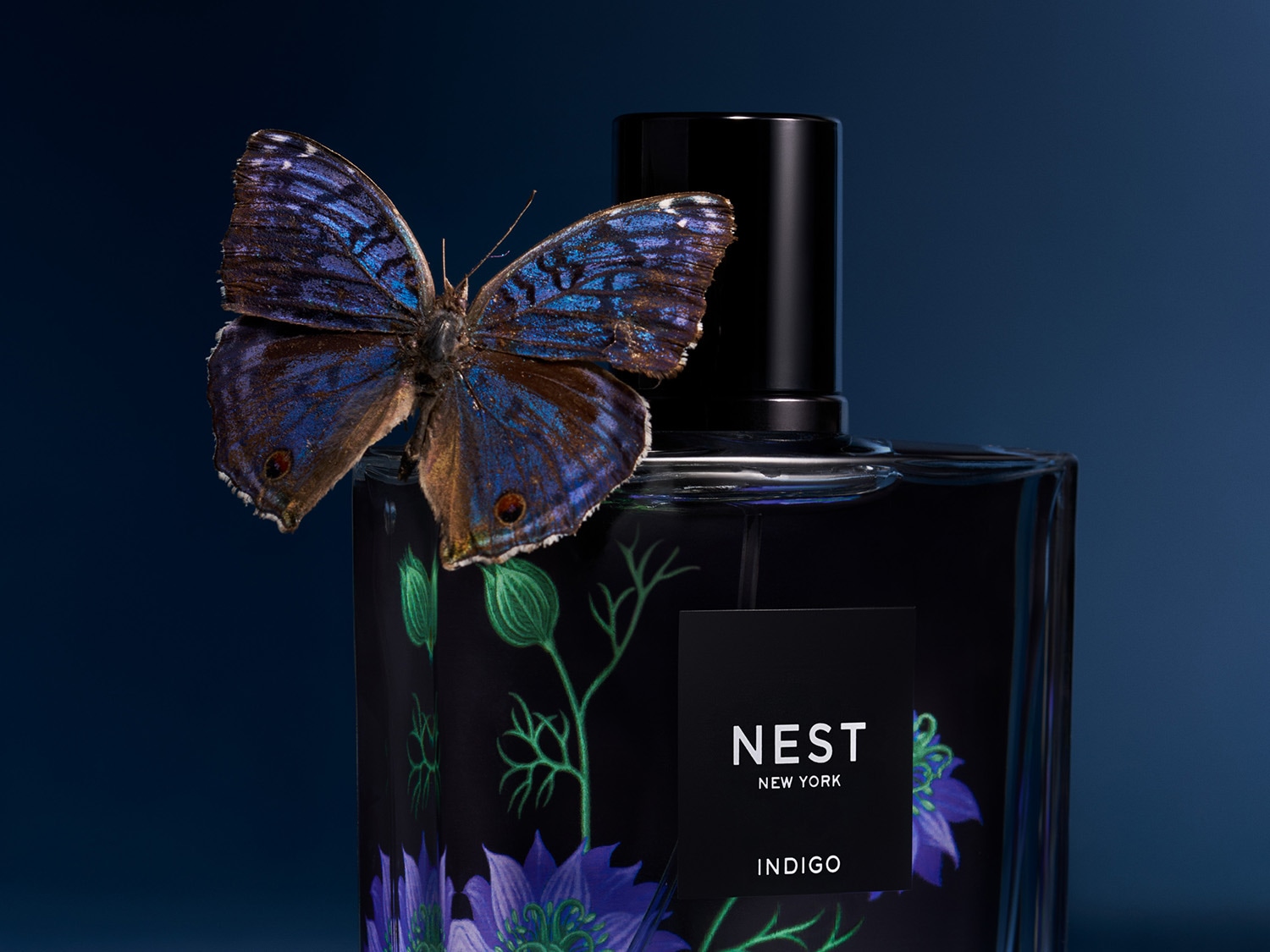 NEST NEW YORK ️ Fino al -30% | DOUGLAS