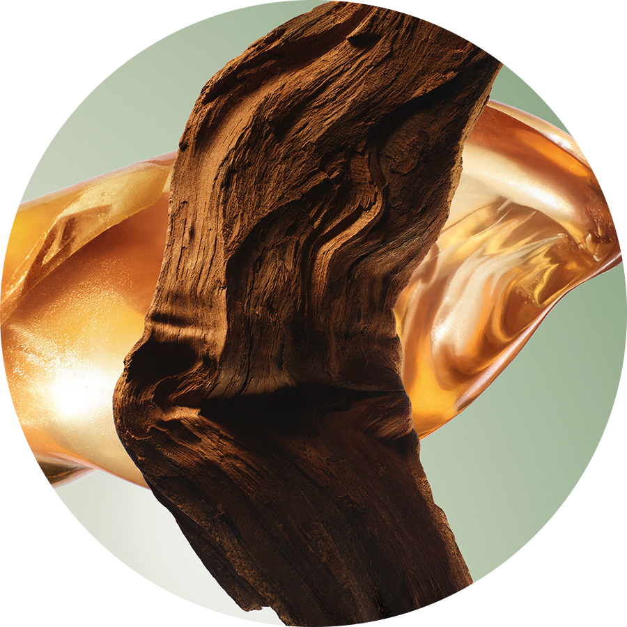 Prada Paradigme Prada Paradigme Eau de Parfum – woda perfumowana dla ...