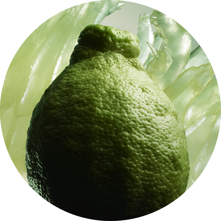 Prada Paradigme Prada Paradigme Eau de Parfum – woda perfumowana dla ...